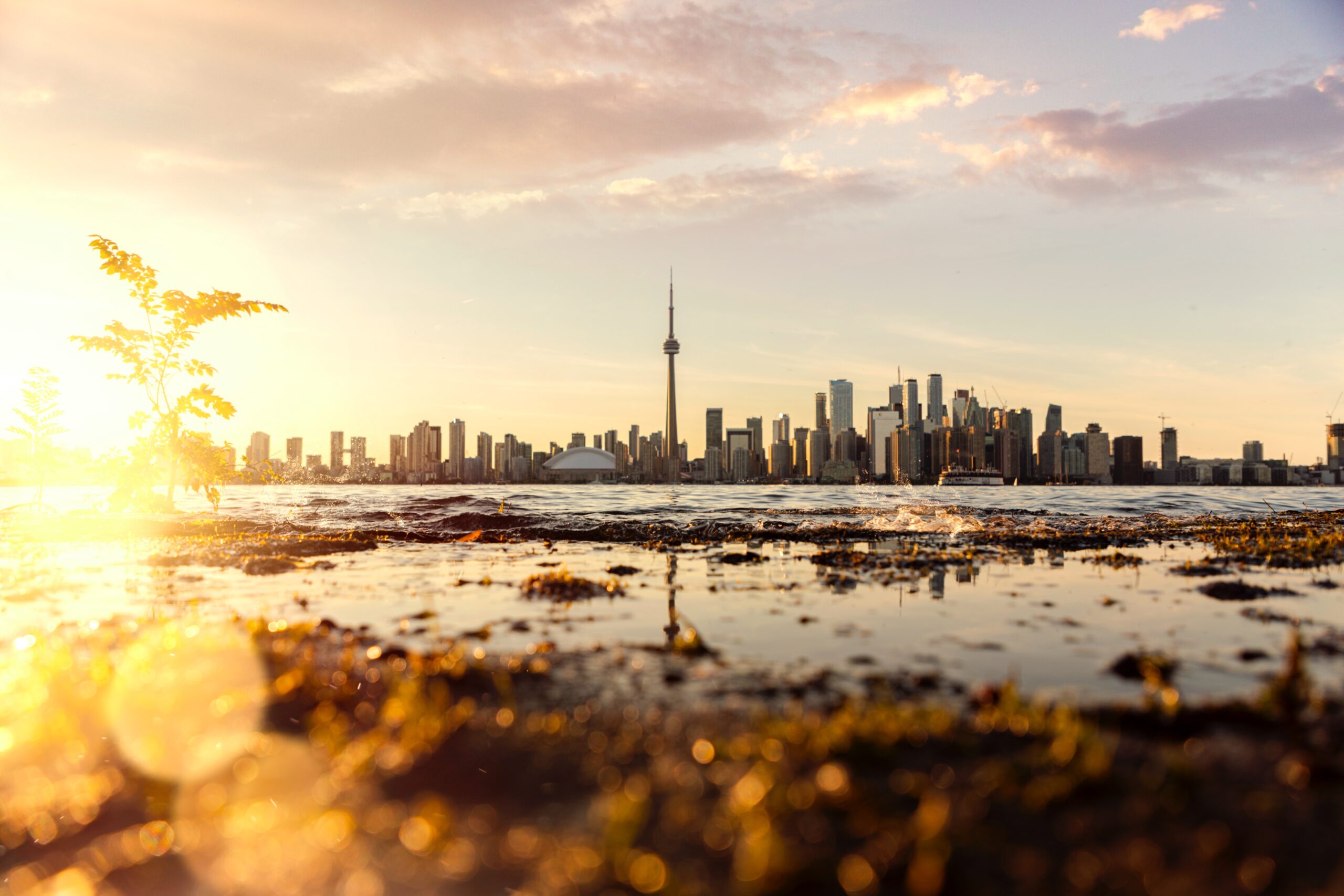Why does the Ontario Grid and Consumer need DERMS? - Edgecom Energy